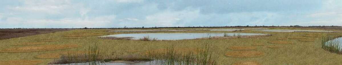 Harris County Flood Control District’s wetland project to mitigate ...