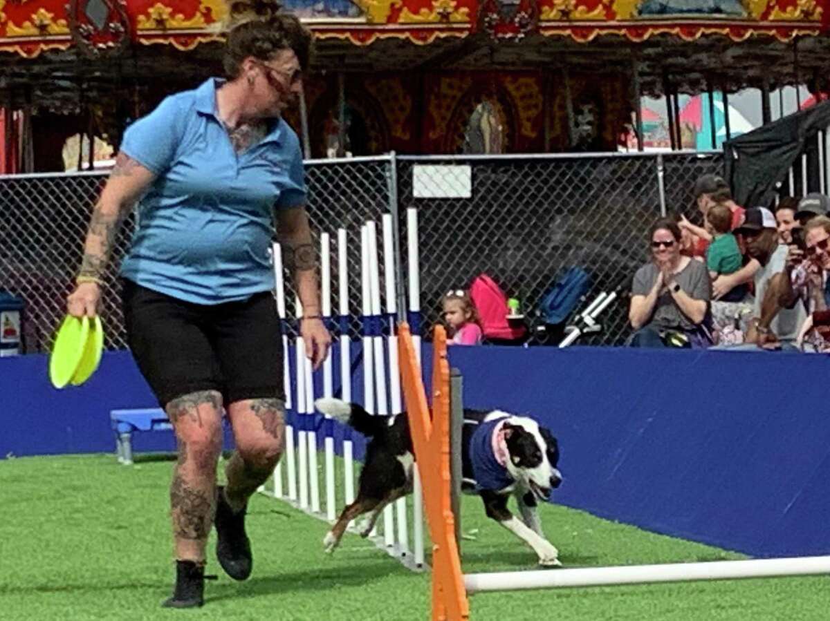Extreme Dogs leap back to the Stock Show & Rodeo