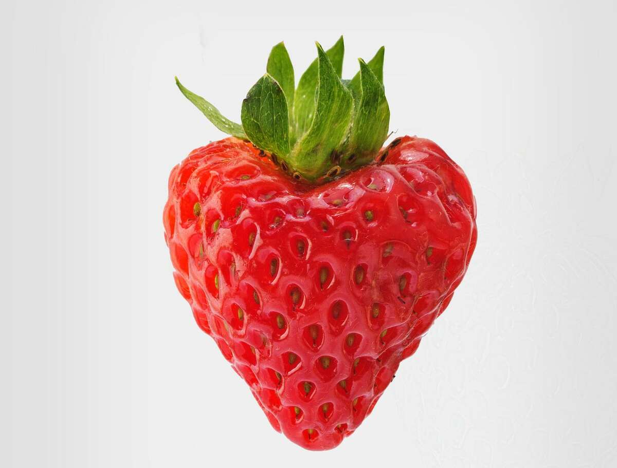 Natural hearts — shapes in nature