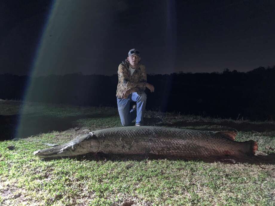 Texas teen catches 7-foot, 190-pound alligator gar just outside the ...