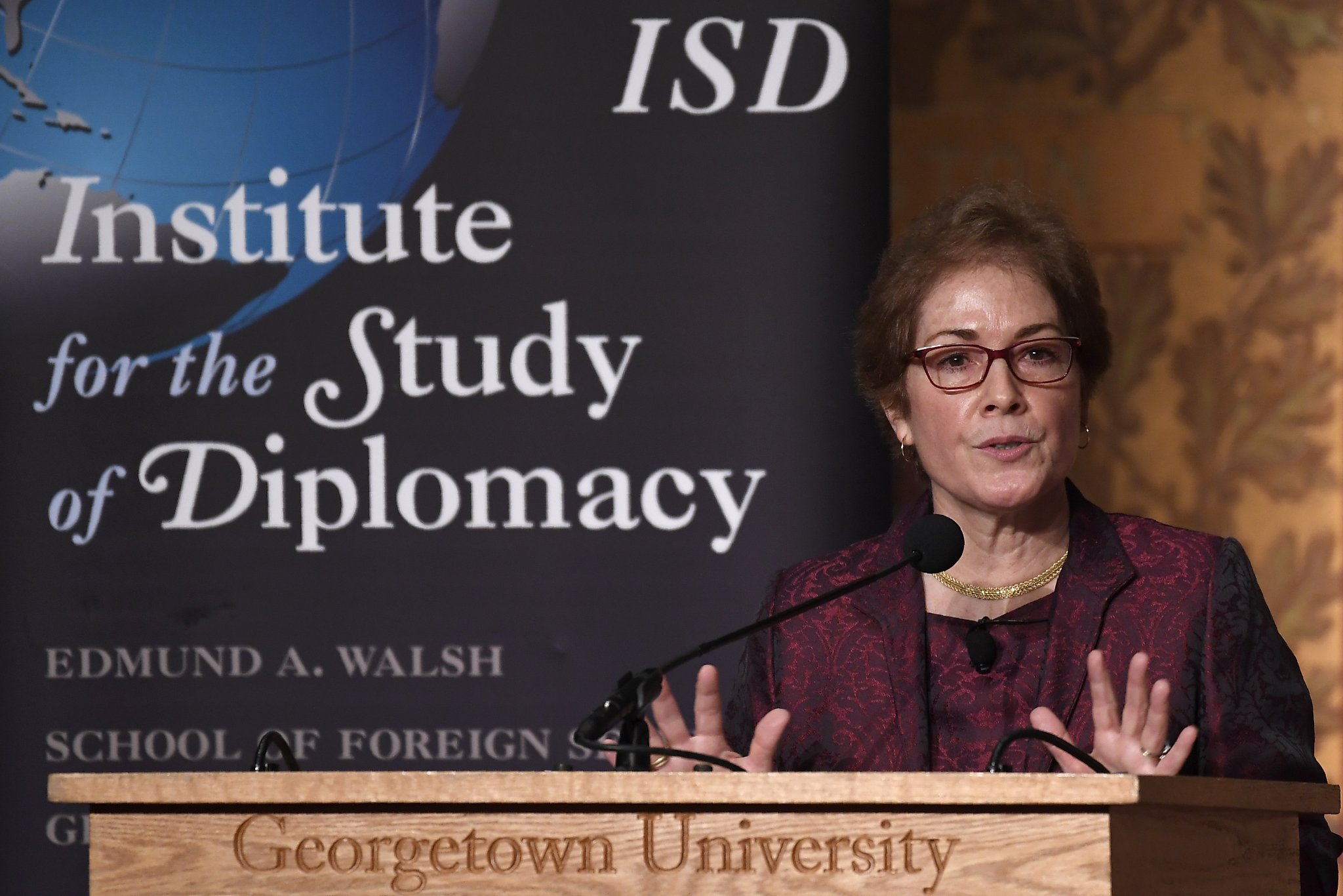 Ex-Ukraine ambassador: State Department leaders lack vision