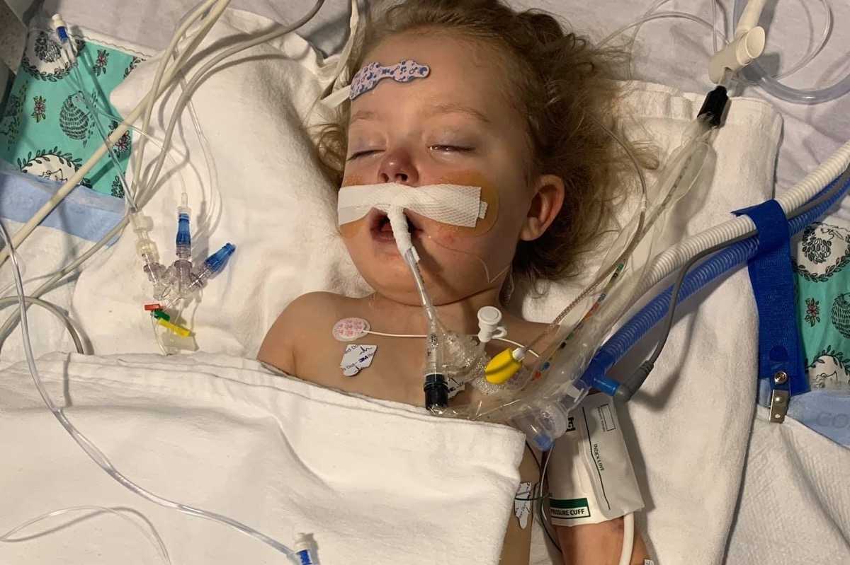 Two-year-old girl in need of heart transplant after already undergoing ...