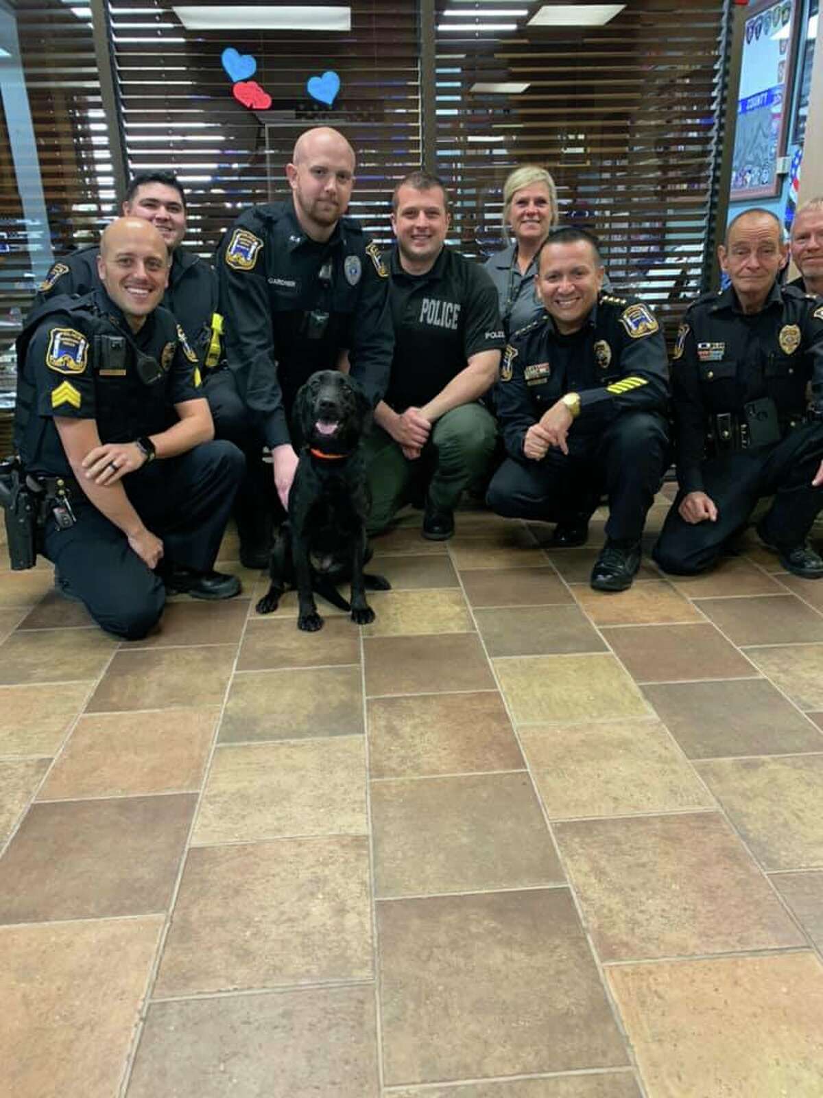 Freeport Police Department names new K9 after the late Abigail Arias, 7 ...