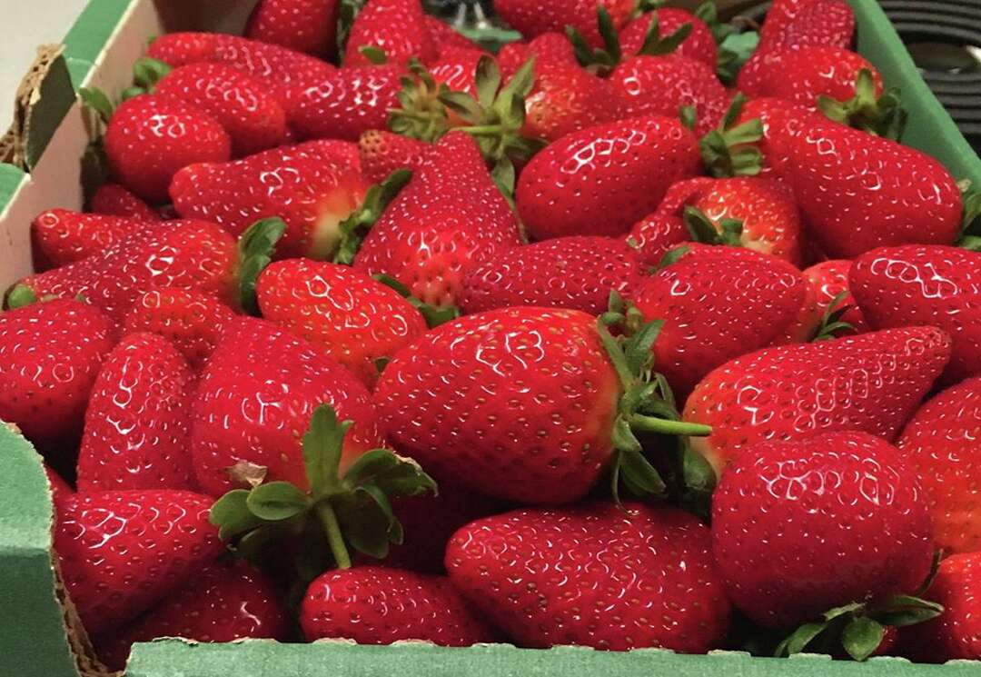 It's strawberry season in Texas. Here are some of the best farms to ...