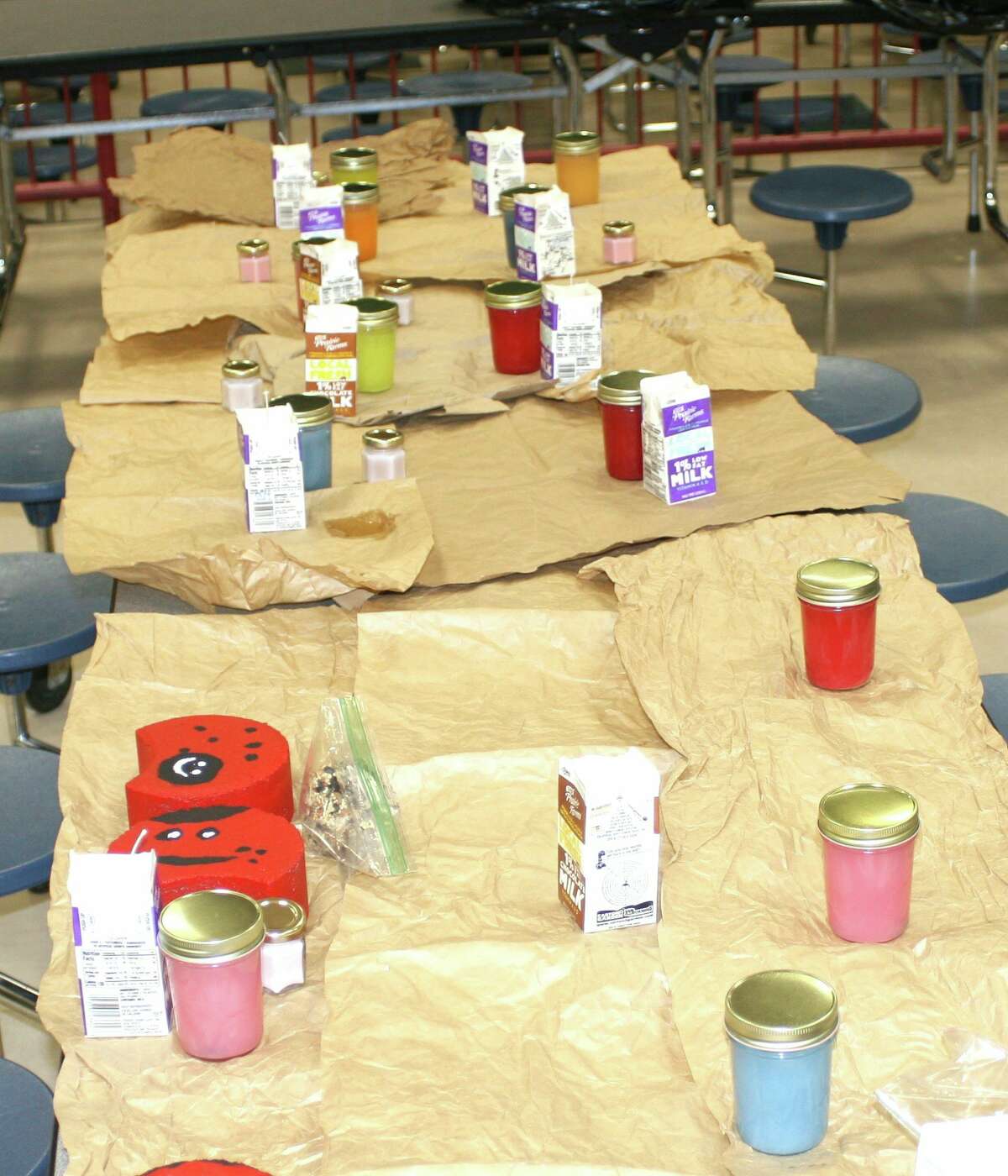 33 youth participate in 4-H Projects Galore