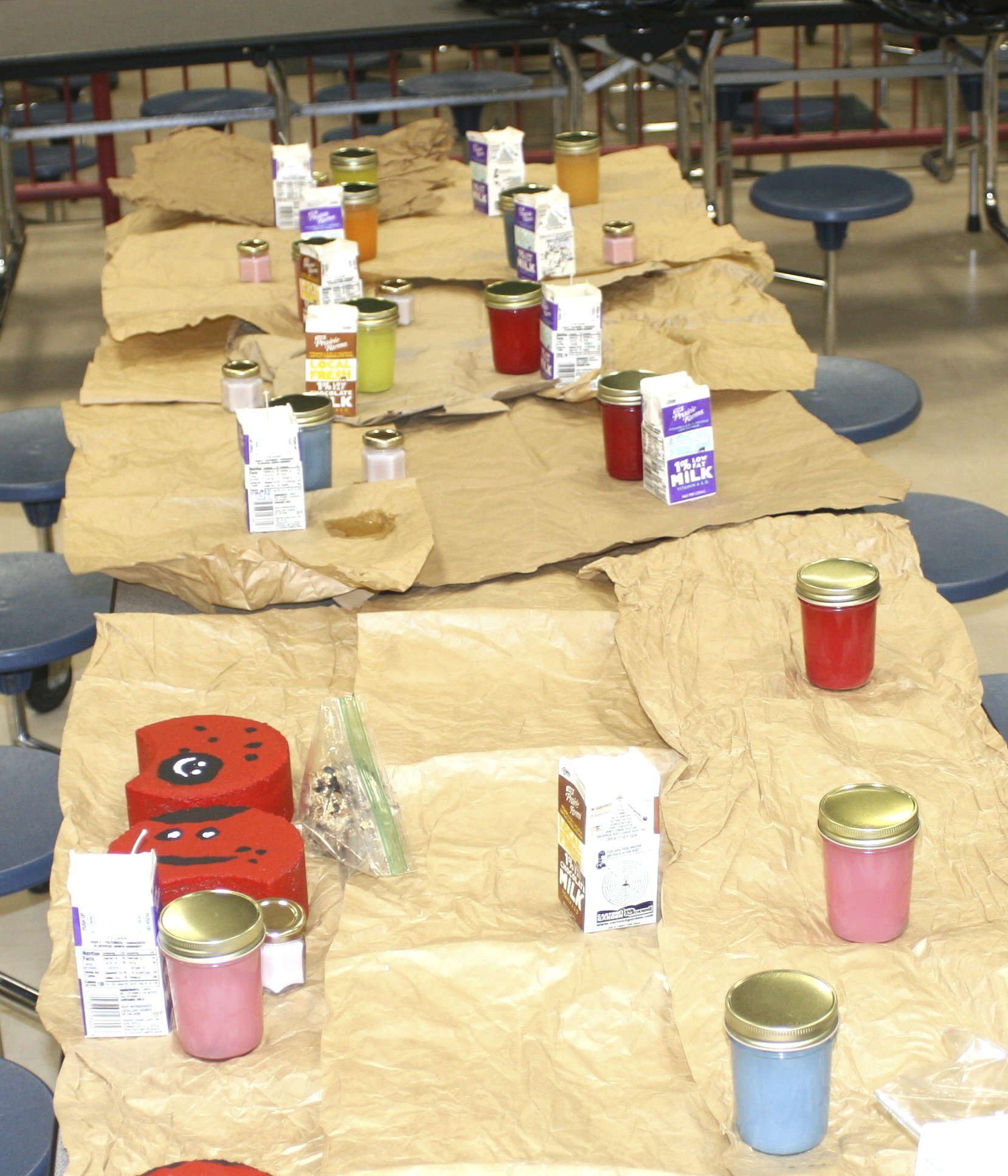 33 youth participate in 4-H Projects Galore