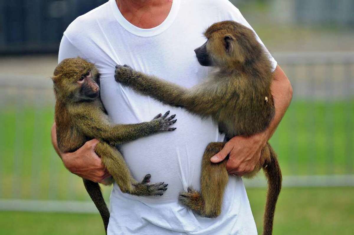 Rides for free? Fair enough!