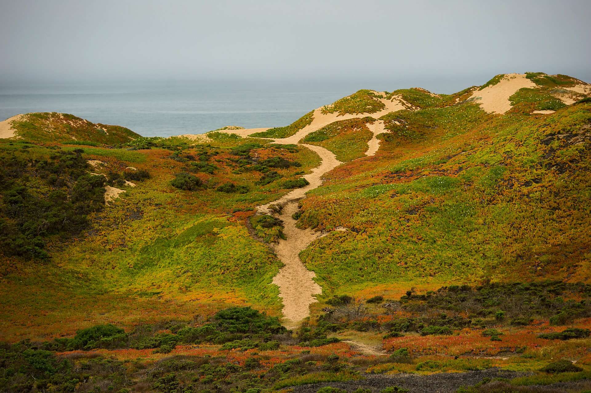 Preview: First new state park campground in 30 years