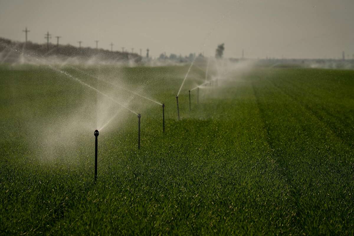 Trump brings more water — and himself — to Central Valley farmers
