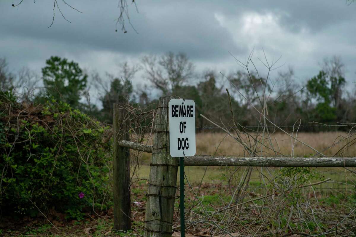Officially, an Anahuac woman was killed in a rare feral hog attack. But ...