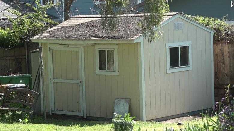 Behemoth beehive discovered in California homeowner's backyard