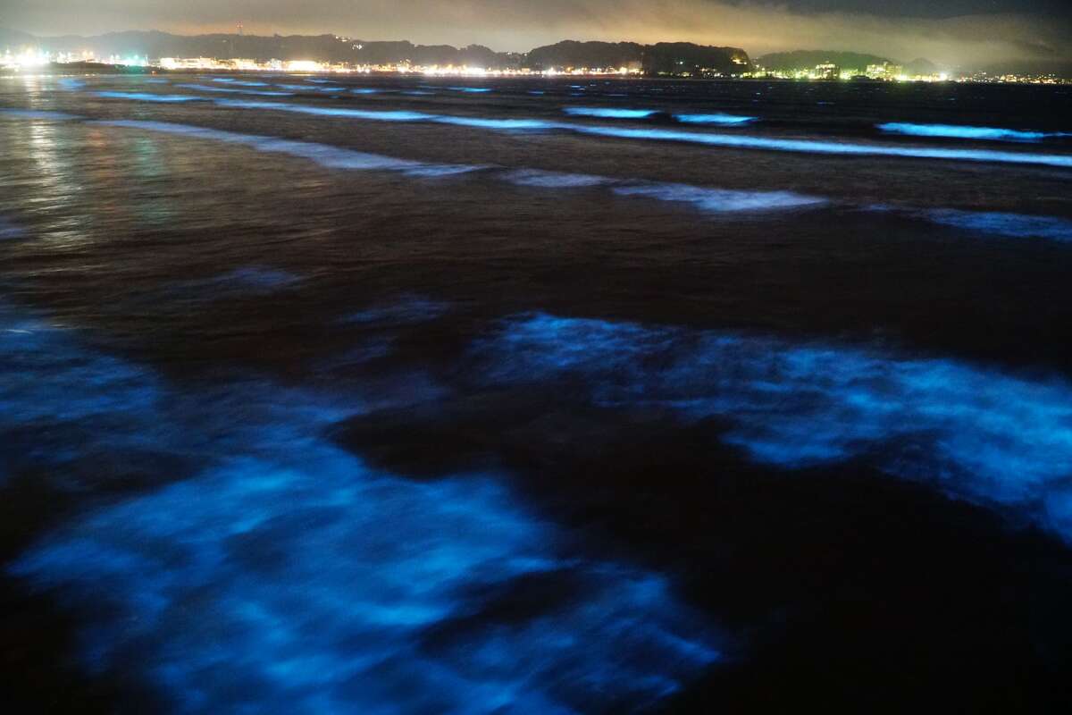 'Sea Sparkle' creates mysterious blue waves in Galveston surf
