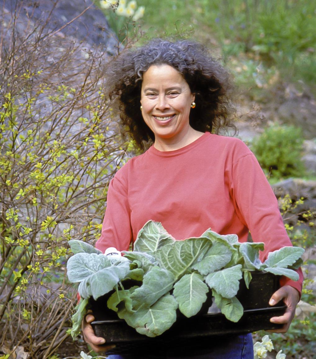 New Canaan Beautification League presenting talk