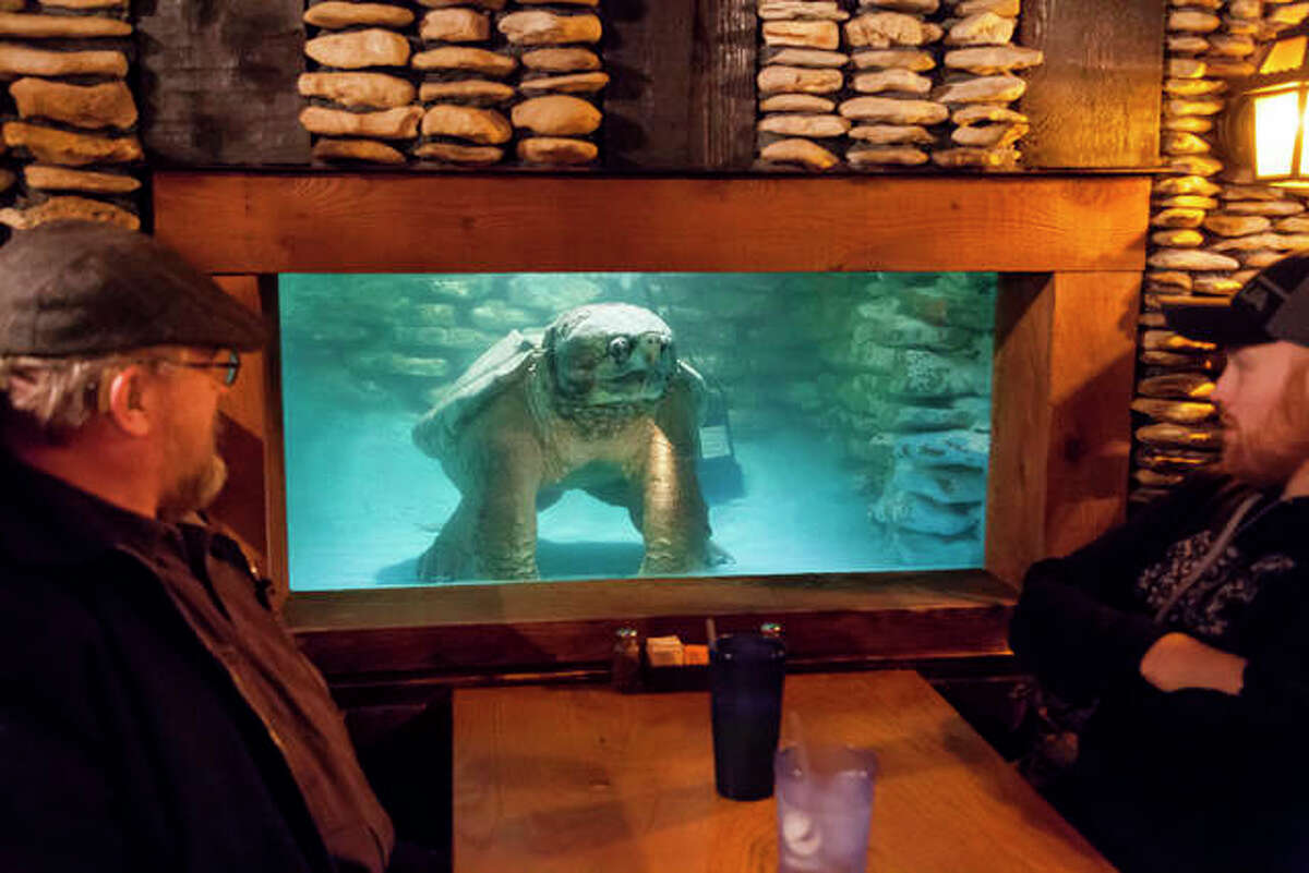 Fin Inn features unique river views