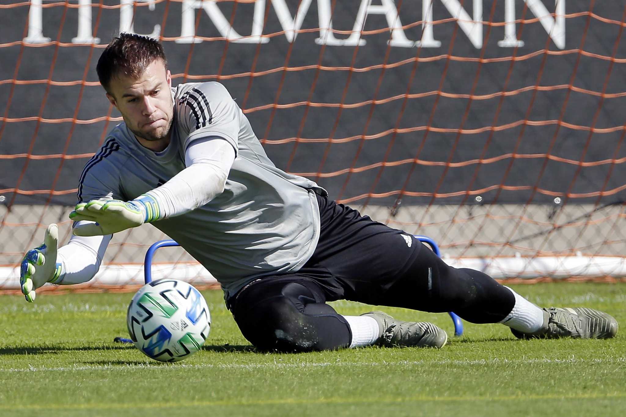 Dynamo hope they have a keeper in Marko Maric