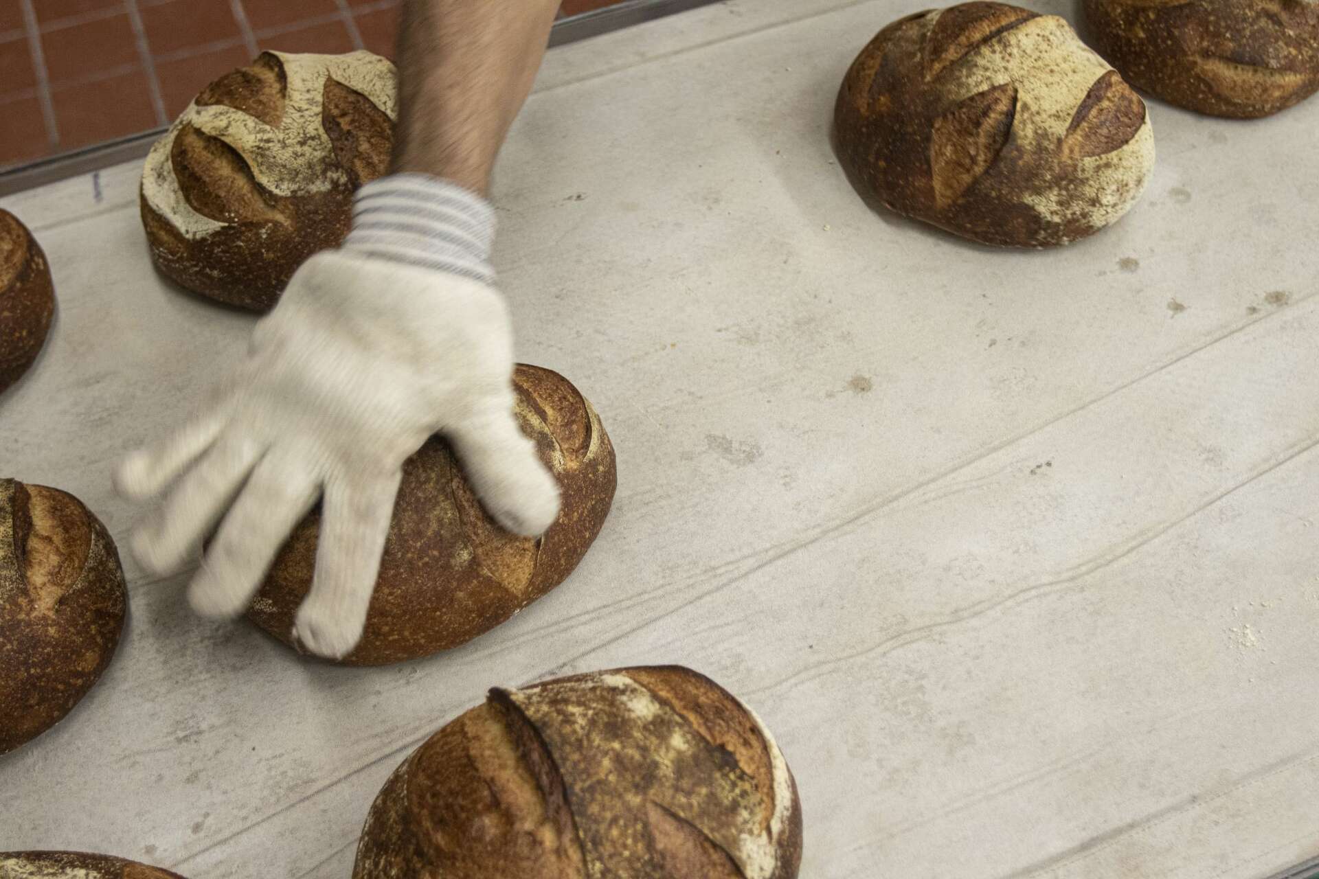 How Berkeley’s Acme Bread started a Bay Area bread movement