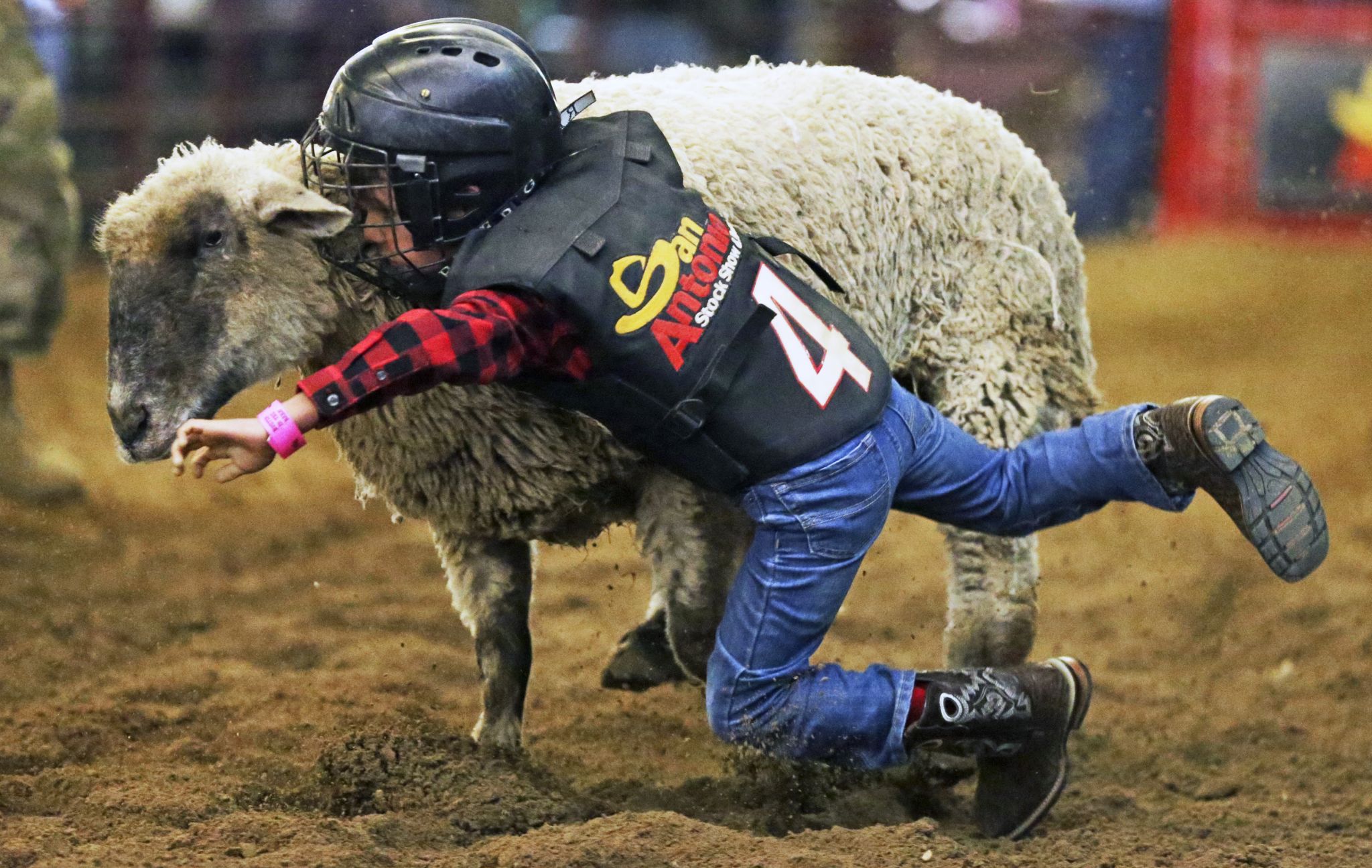 San Antonio Livestock Show and Rodeo forges ahead