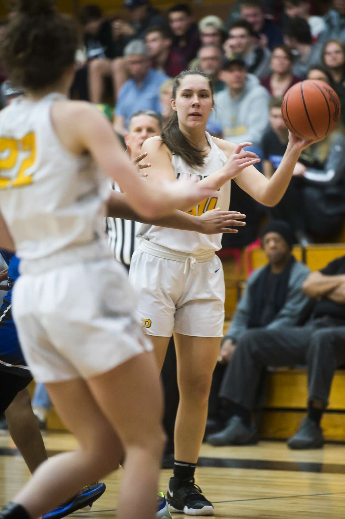 Dow falls to Flint Carman-Ainsworth in Saginaw Valley League girls ...