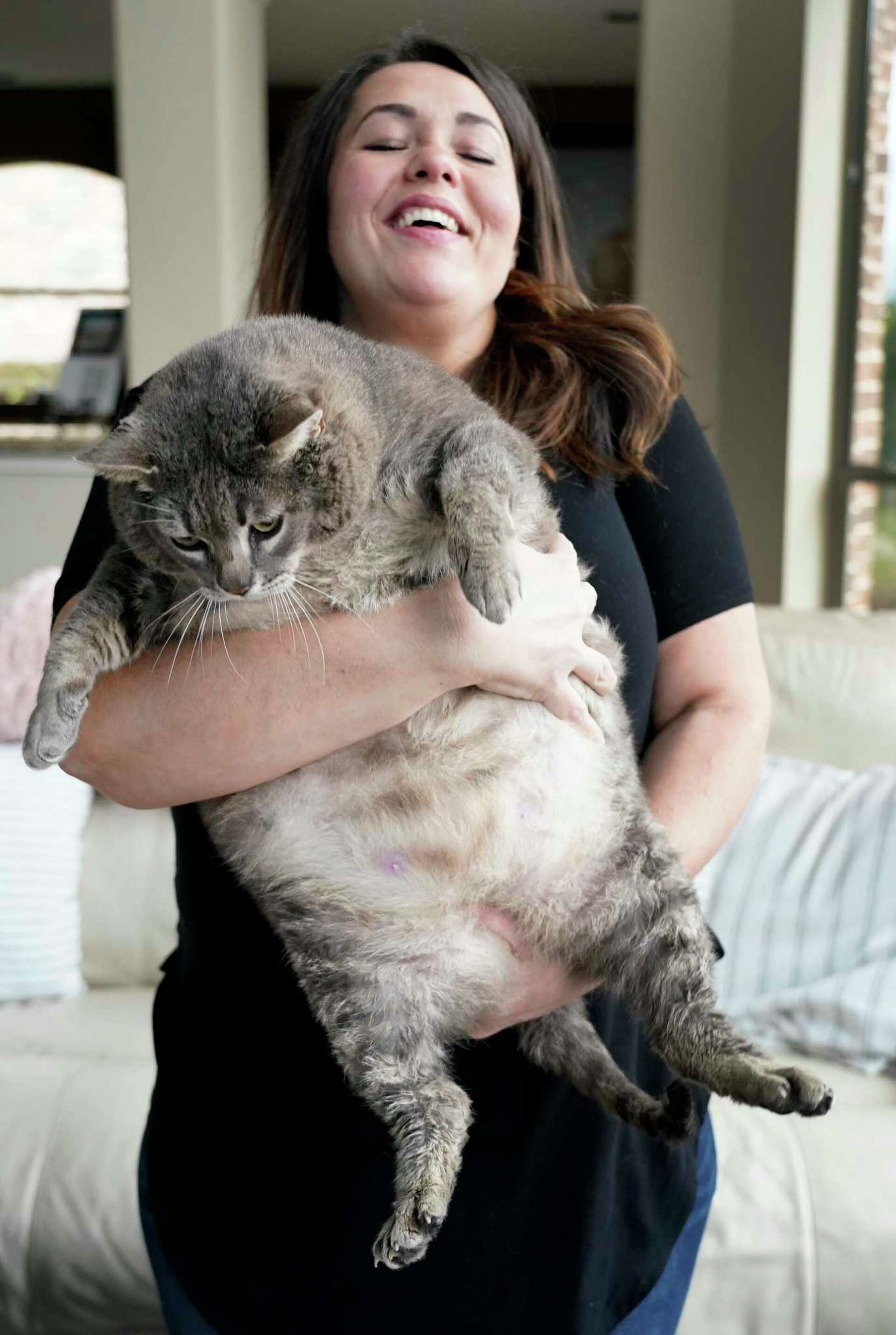 League City’s Fat Cat Harvey has 57K Instagram followers. But at 30 ...