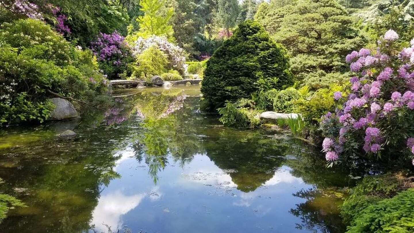 Breathtaking blooms: 7 Seattle spots to see spring blossoms