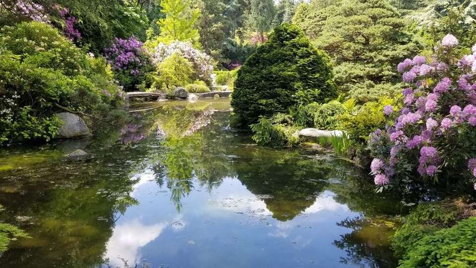 Breathtaking blooms: 7 Seattle spots to see spring blossoms