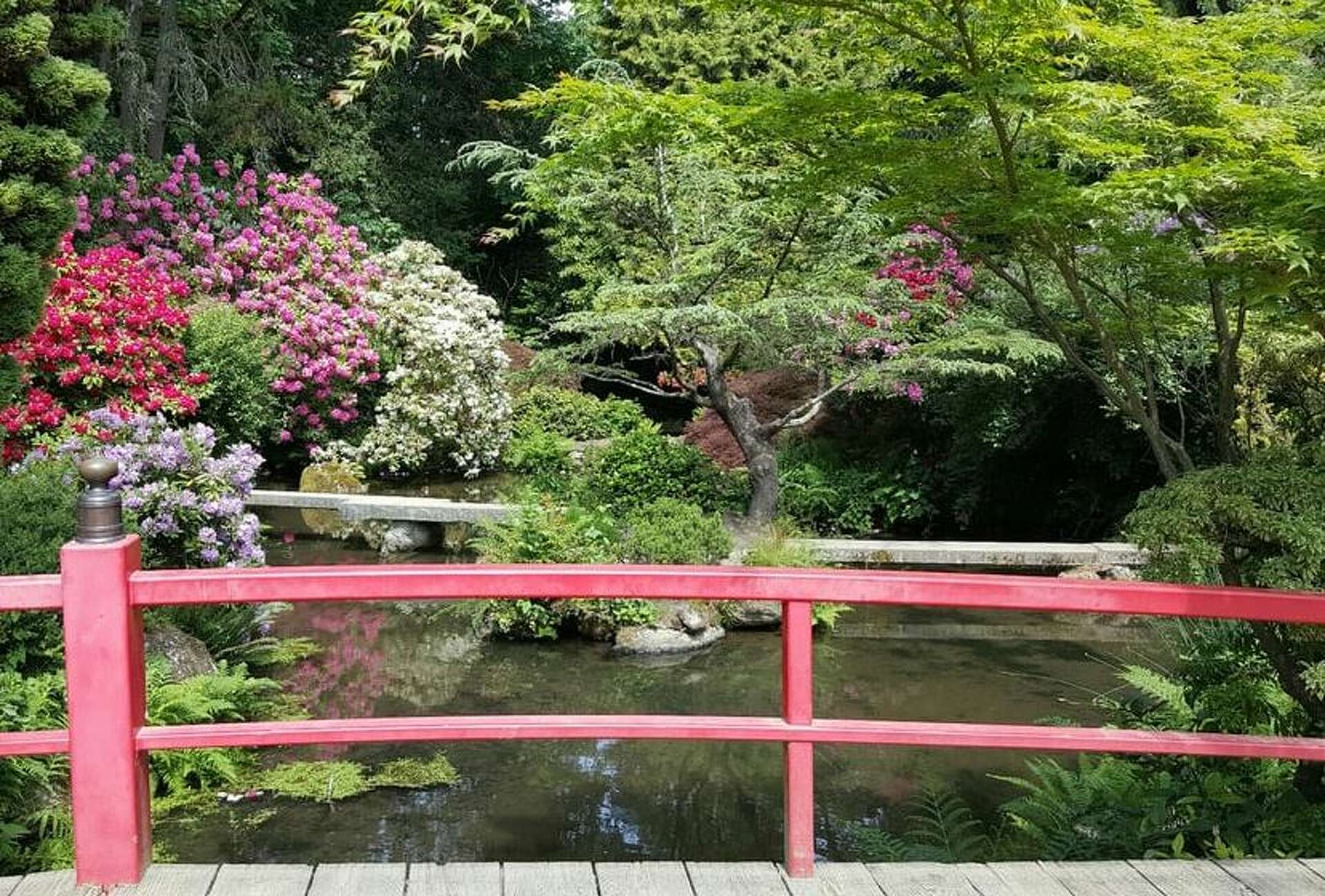 Breathtaking blooms: 7 Seattle spots to see spring blossoms