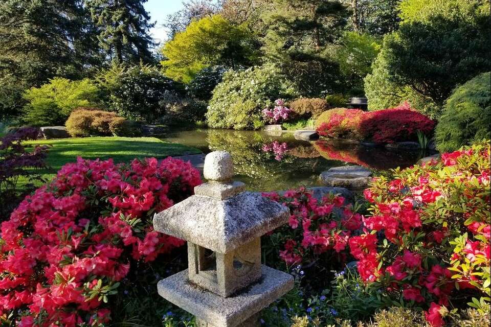 9 places to see breathtaking blooms in Seattle this spring