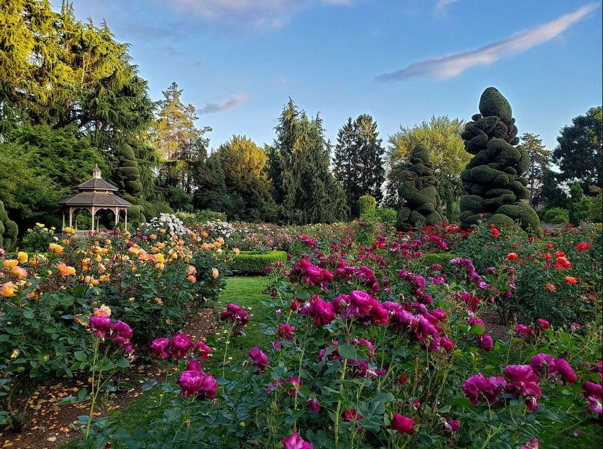 5 quaint and quiet secret spots for a Seattle picnic this spring