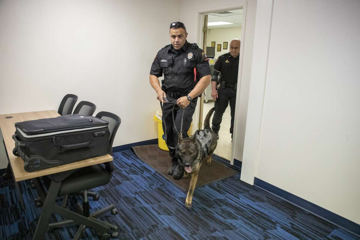 ECISD Police Department has weapons K-9