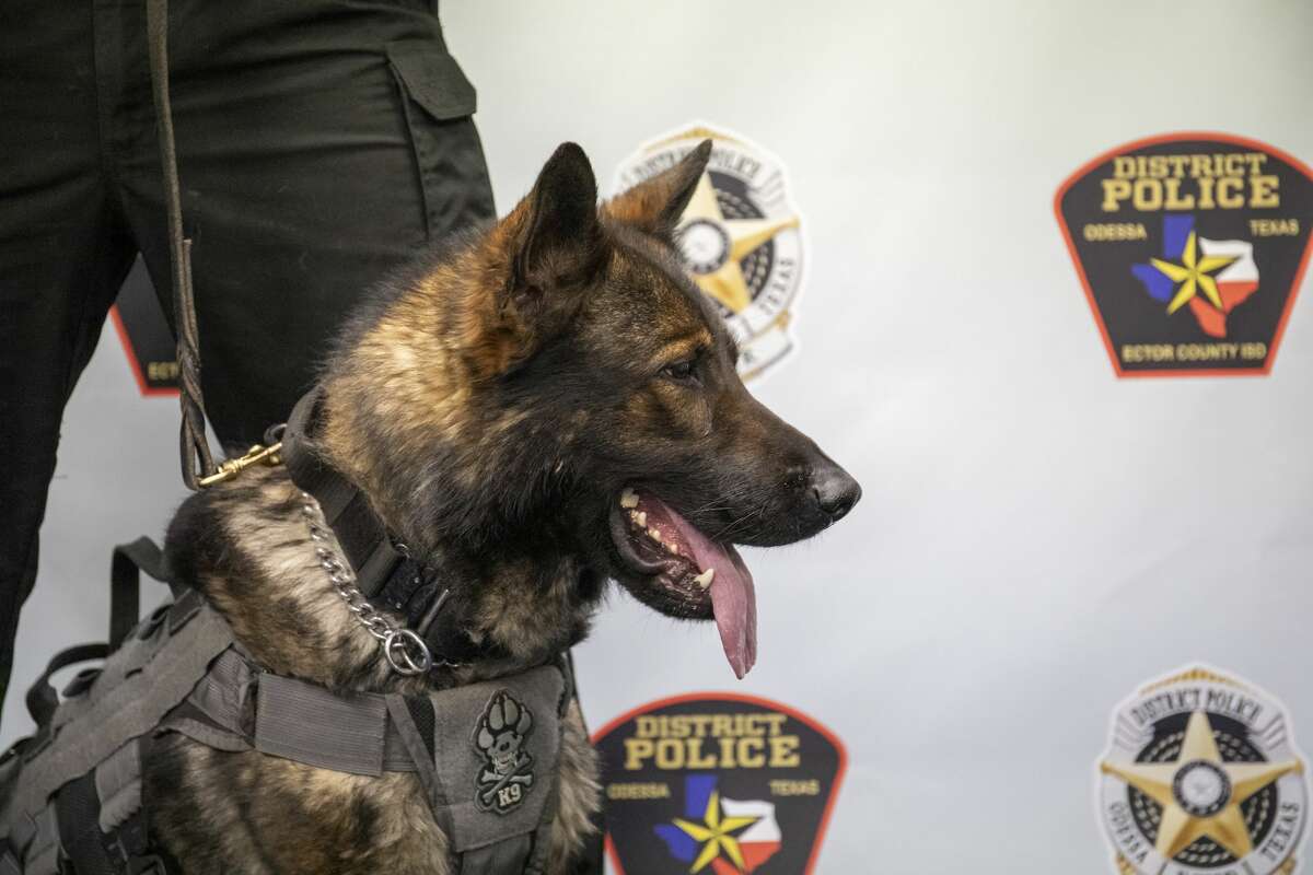 ECISD Police Department has weapons K-9