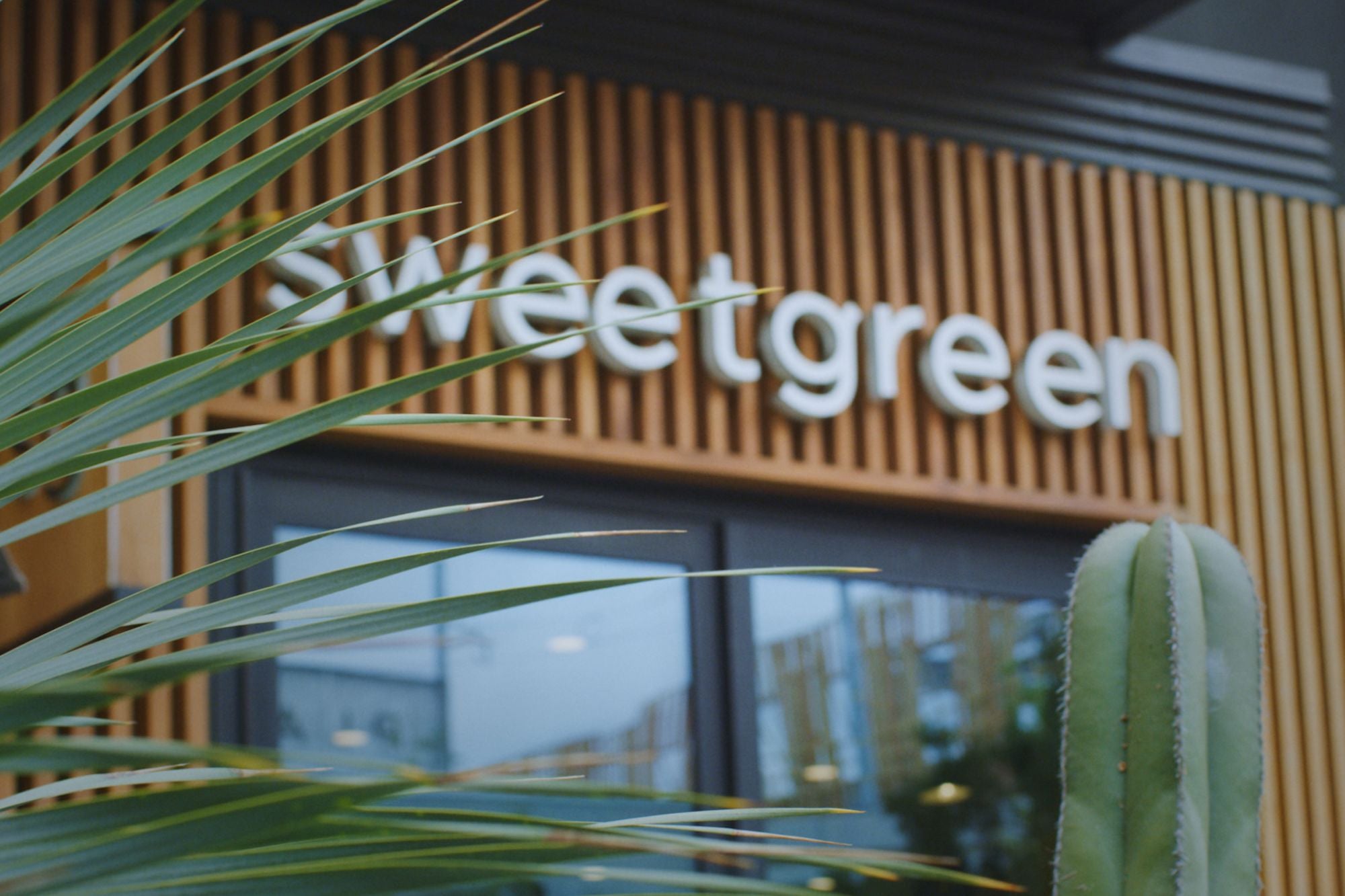 Sweetgreen Success: From Dorm Room Startup to Fast-Casual Salad Empire
