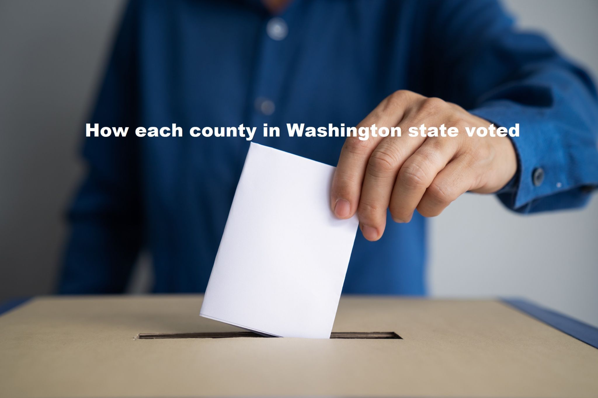 Here's how every county in Washington state voted in the Democratic primary
