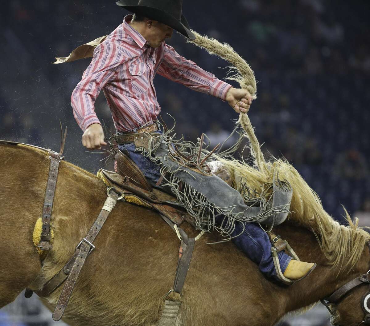 Saddle bronc rider Rusty Wright was down, but he wasn’t out