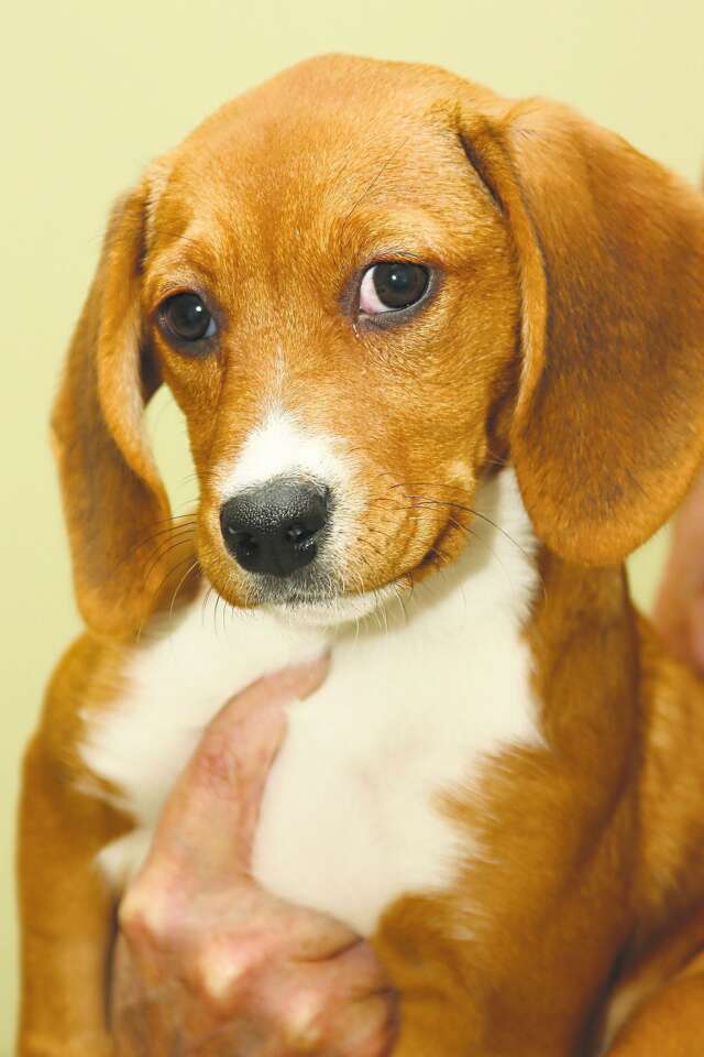 FEATURED PHOTOGRAPHER: Tom Voss