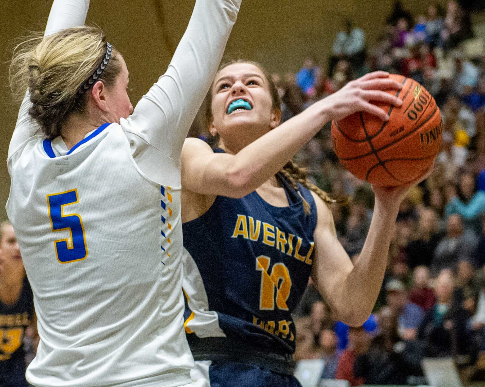 Averill Park girls' basketball begins practicing Monday