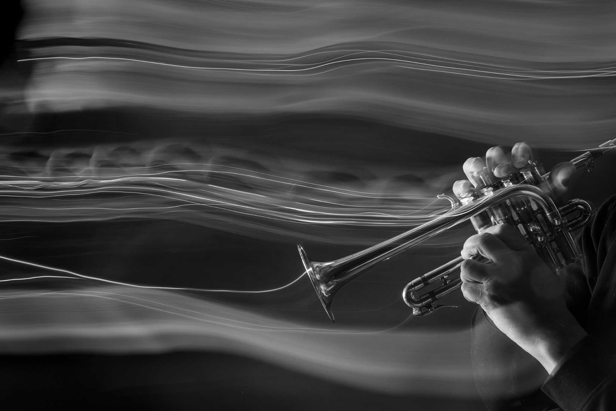 You can see the music at Harold Shapiro’s new Creative Arts Workshop ...