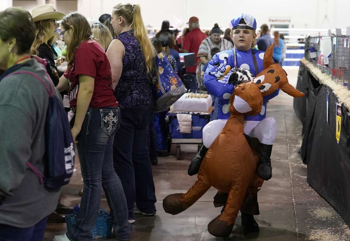 RodeoHouston's rabbit costume contest grows in popularity, exhibitors