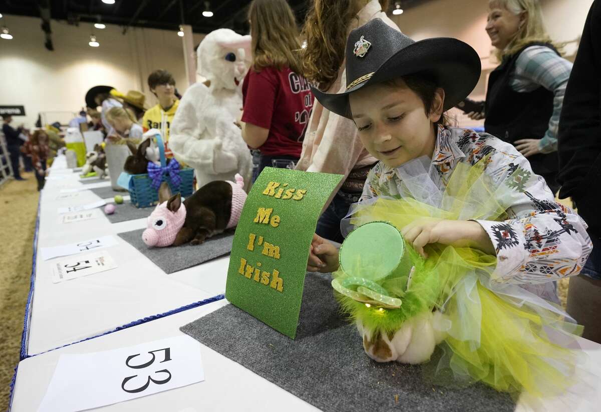RodeoHouston's rabbit costume contest grows in popularity, exhibitors