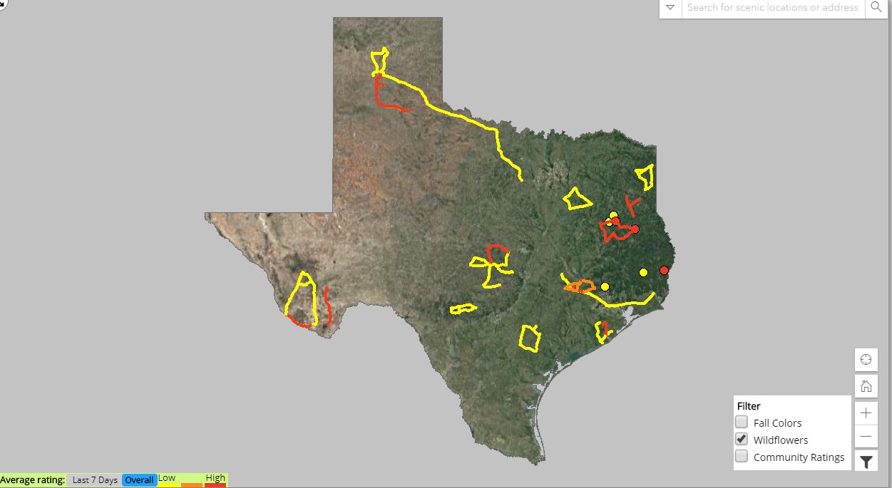 This app will lead you to the best scenic views of wildflowers in Texas
