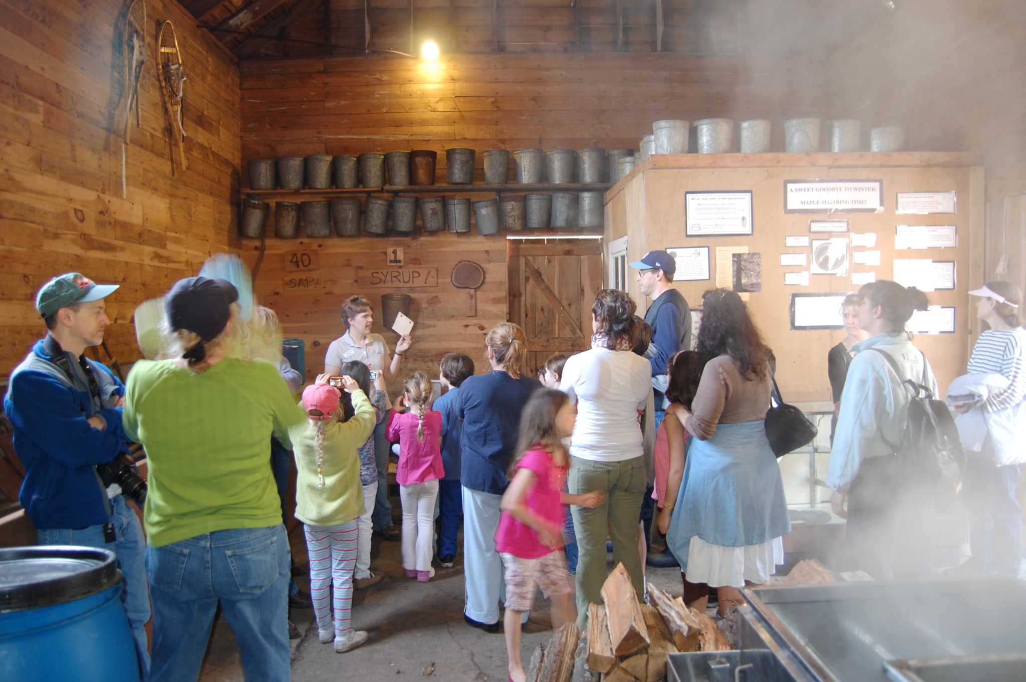 Sharon Audubon to hold MapleFest