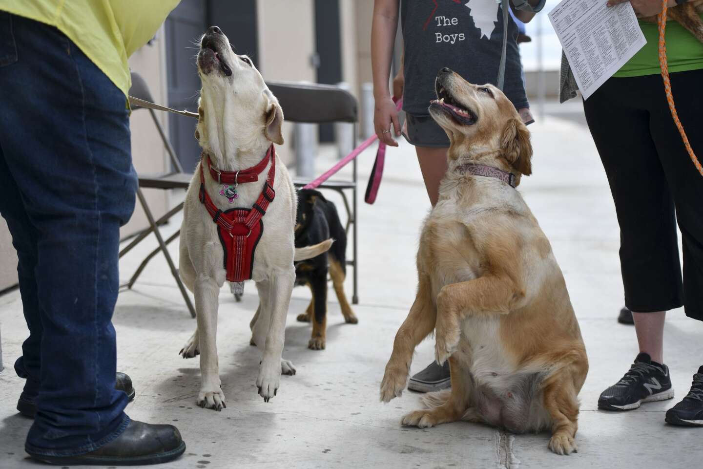 Fix West Texas set to open storefront