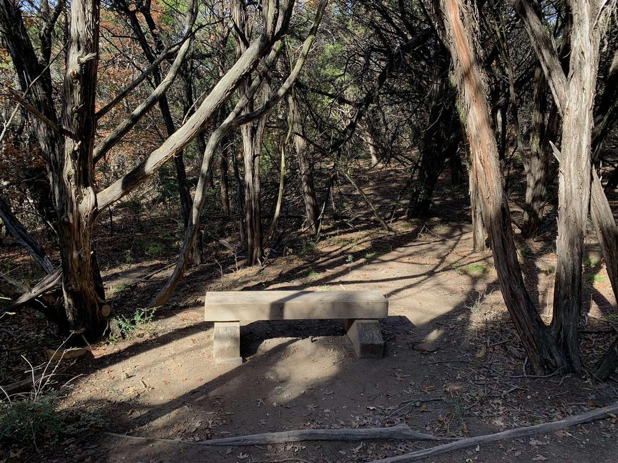 One of Texas' most haunted hiking trails is in Houston