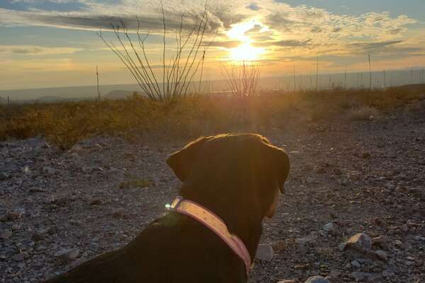 James 'Red' Duke, iconic surgeon who started Life Flight, dies at 86 ...