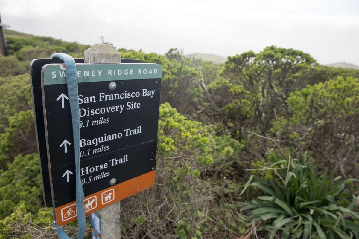 This absurdly beautiful Bay Area hike will help you take a break from ...