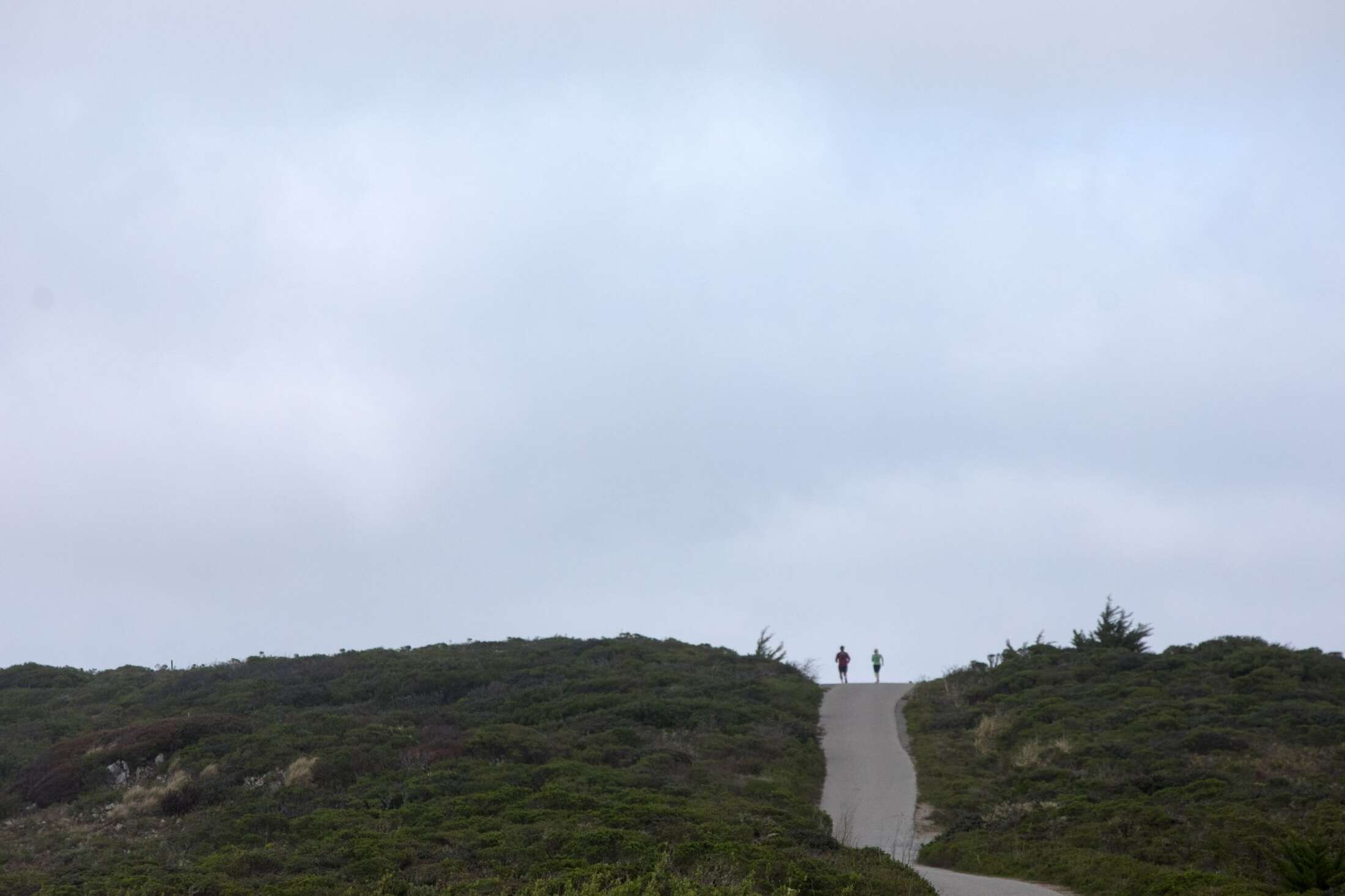 This absurdly beautiful Bay Area hike will help you take a break from ...