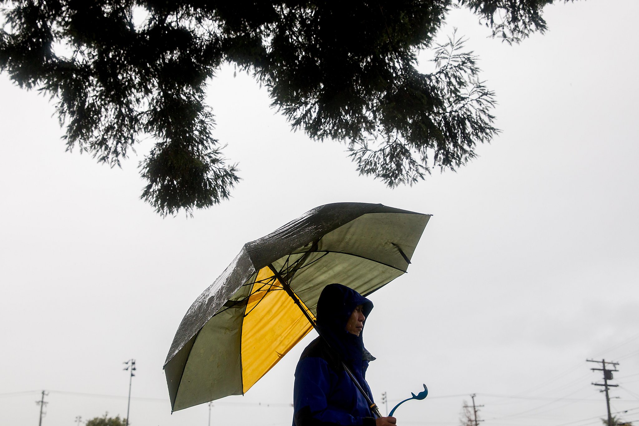 Rainy weekend ahead in Bay Area, with sunshine on the horizon next week