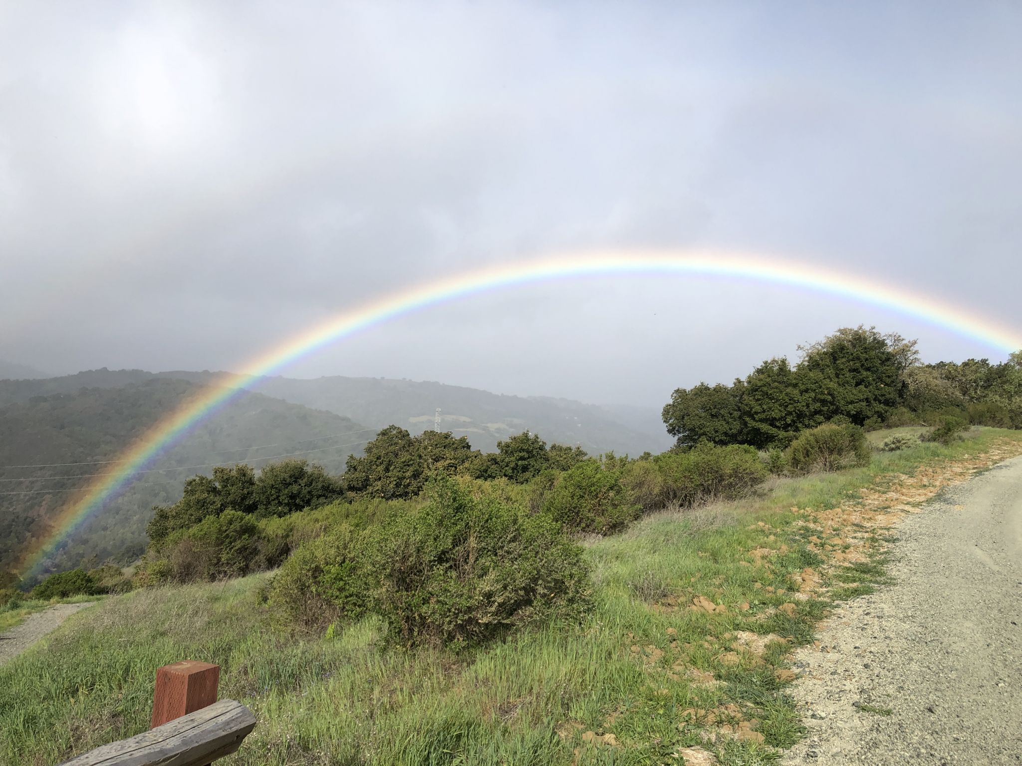 Snow, hail, thunderstorms and heavy rain all in the Bay Area forecast