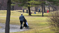 Best golf courses in the Albany area