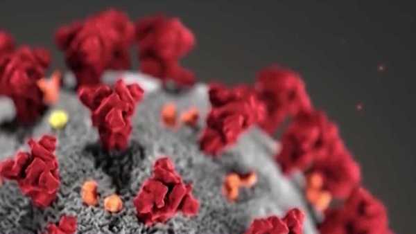 Fact Check: Viral posts falsely align viruses to election years