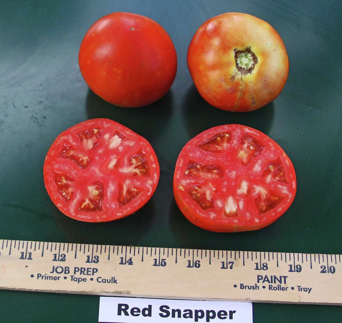 Calvin Finch: It’s time for San Antonio tomato gardeners to start over ...